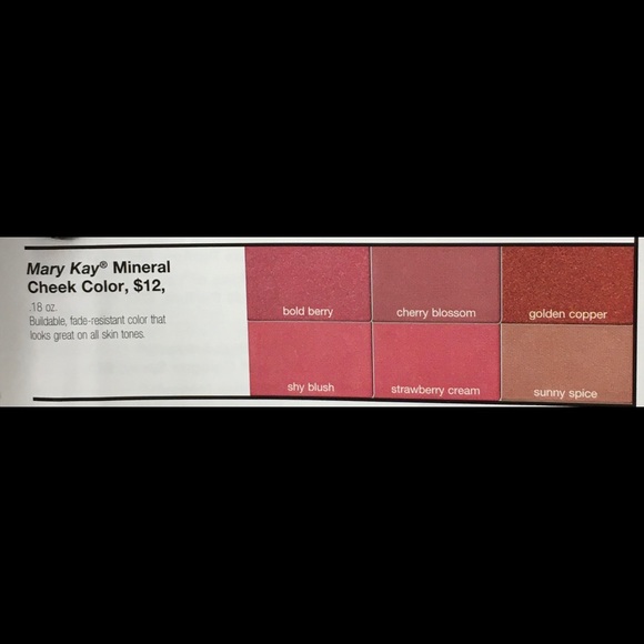 Mary Kay | Makeup | Mineral Cheek Color Blush | Poshmark